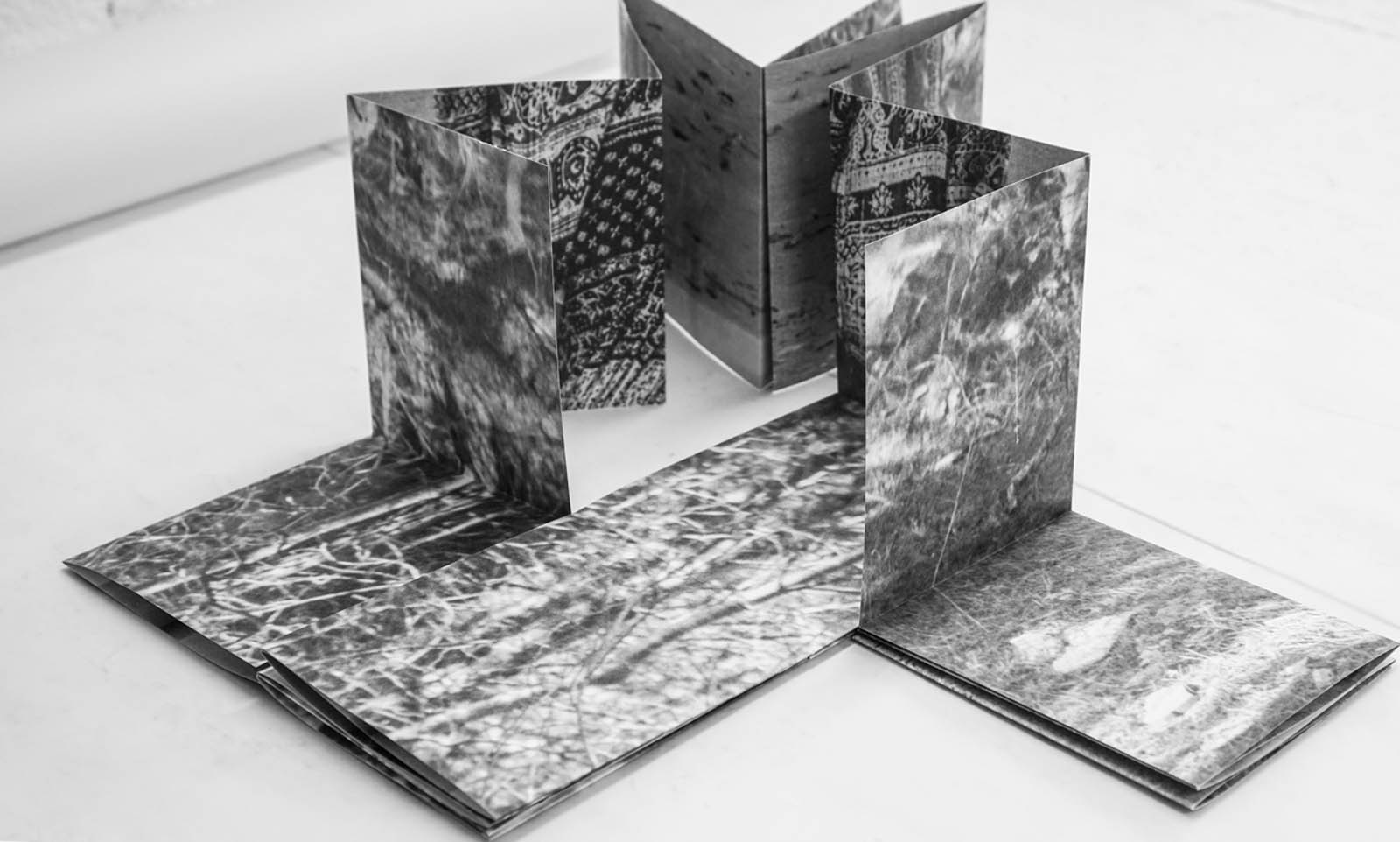 Arina Essipowitsch, Fold, édition, la compagnie, lieu de création
